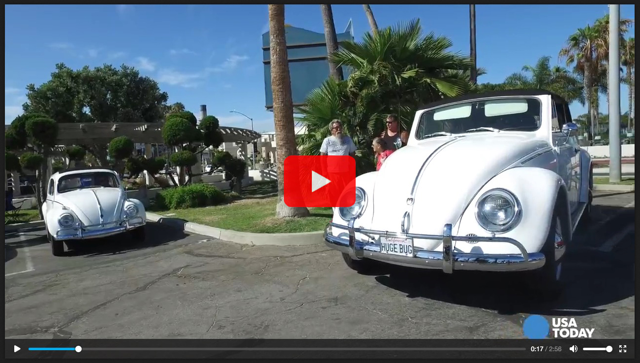 Huge Bug - Citroënvie!