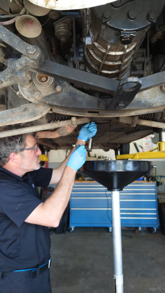 Stage 2 of Terra America is Underway - Citroënvie!