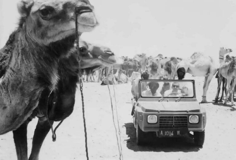 Méhari: 55 years on and still inspiring - Citroënvie!
