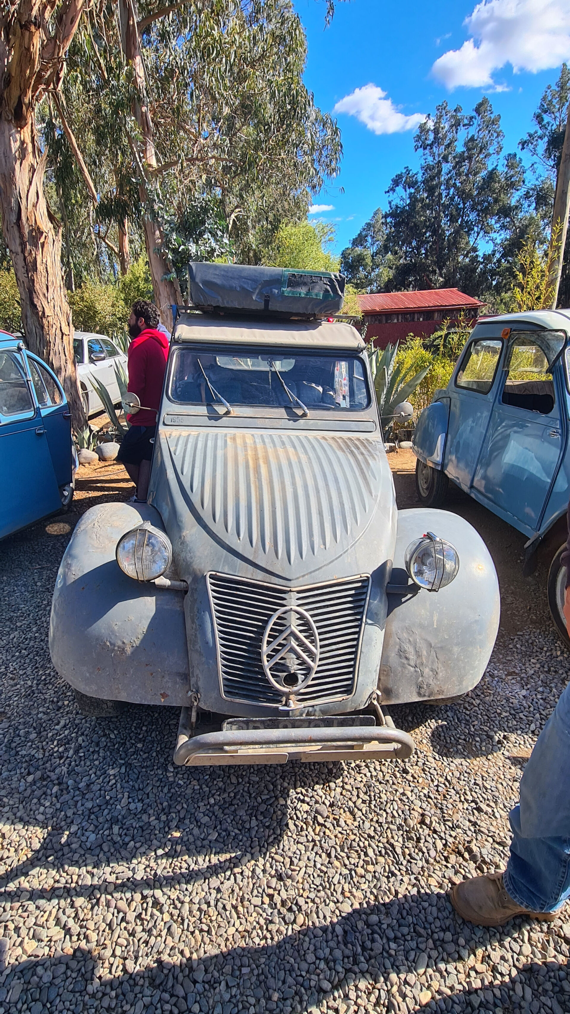 Inspiration For 2CV Owners - Citroënvie!